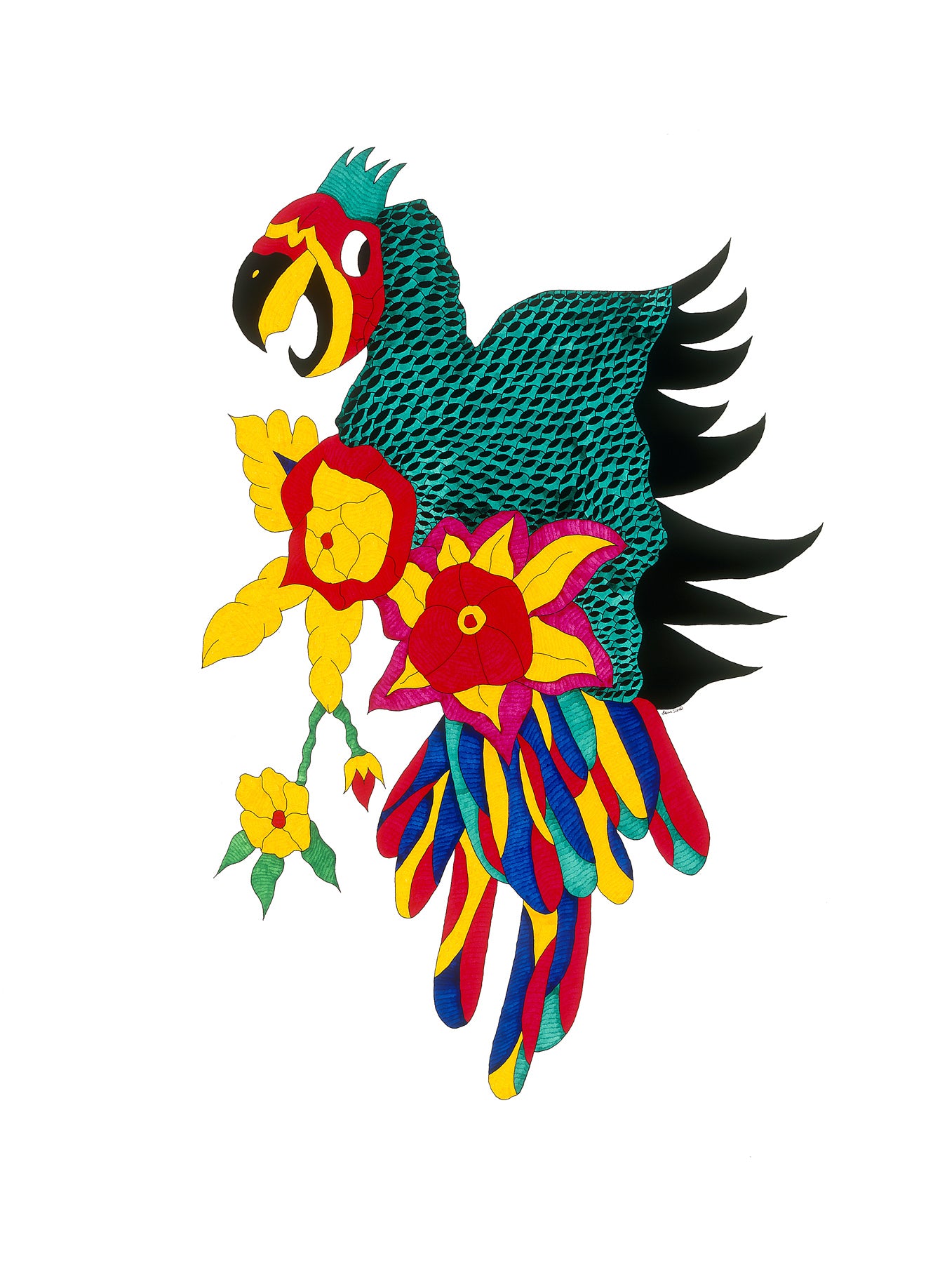 Parrot - Pen & Ink Artwork by Jim Lewis – lewisink